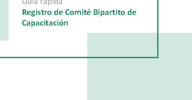 ¿Qué es el Registro del Comité Bipartito de Capacitación? - DT - Consultas